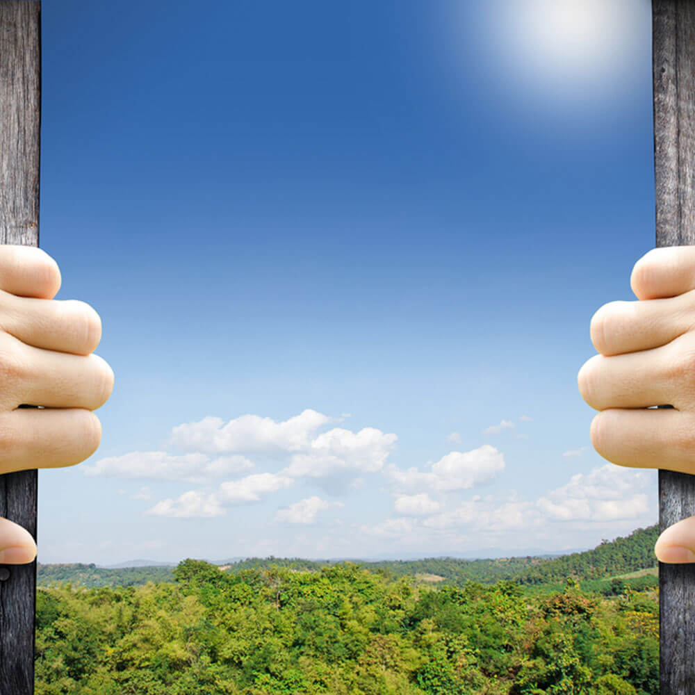 Past Life Trauma: How to Heal and Move Forward